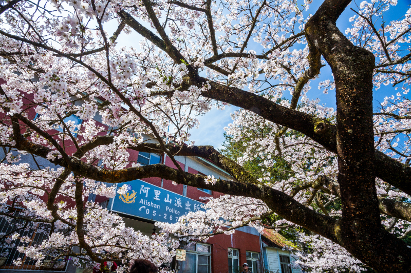 有看有保庇！2024甲辰龍年春節習俗、禁忌、開運方法與走春玩樂懶人包，還有十二星座全方位運勢解析 - 遠傳電信FETnet