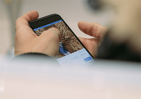 為什麼安卓手機點網址不會用 APP 打開？例如：Facebook、Instagram、YouTube - 遠傳電信FETnet